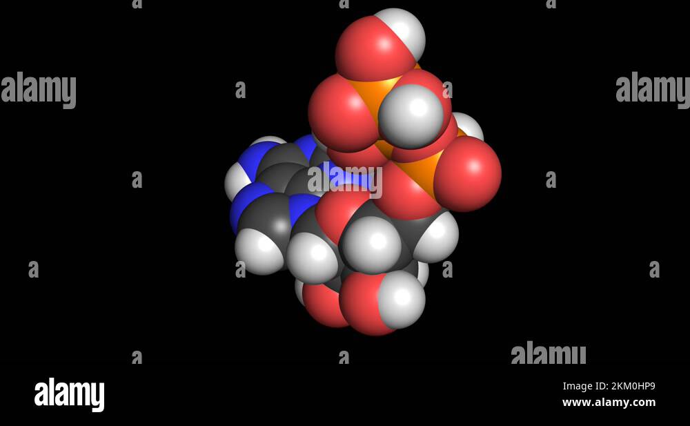 Nucleotide structure Stock Videos & Footage - HD and 4K Video Clips - Alamy