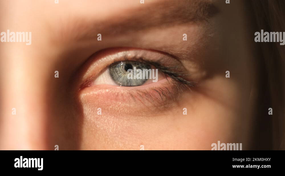 Eye woman anatomy Stock Videos & Footage - HD and 4K Video Clips - Alamy