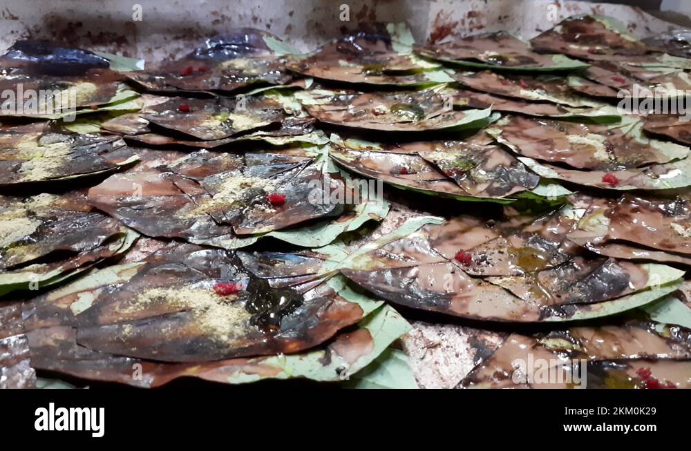 Chew supari paan Stock Videos & Footage - HD and 4K Video Clips - Alamy