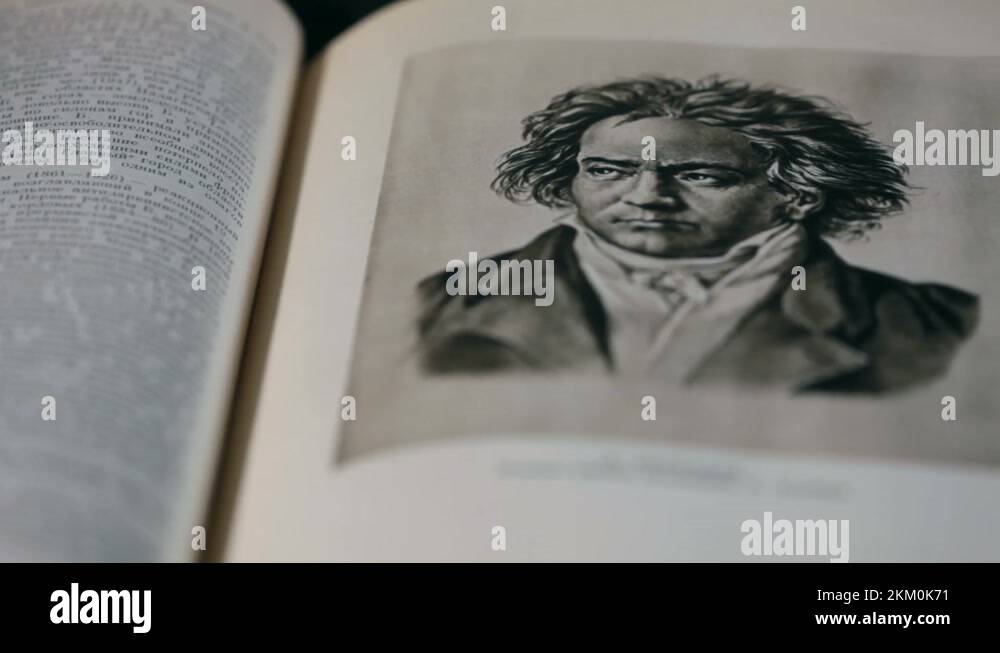 Beethoven portrait Stock Videos & Footage - HD and 4K Video Clips - Alamy
