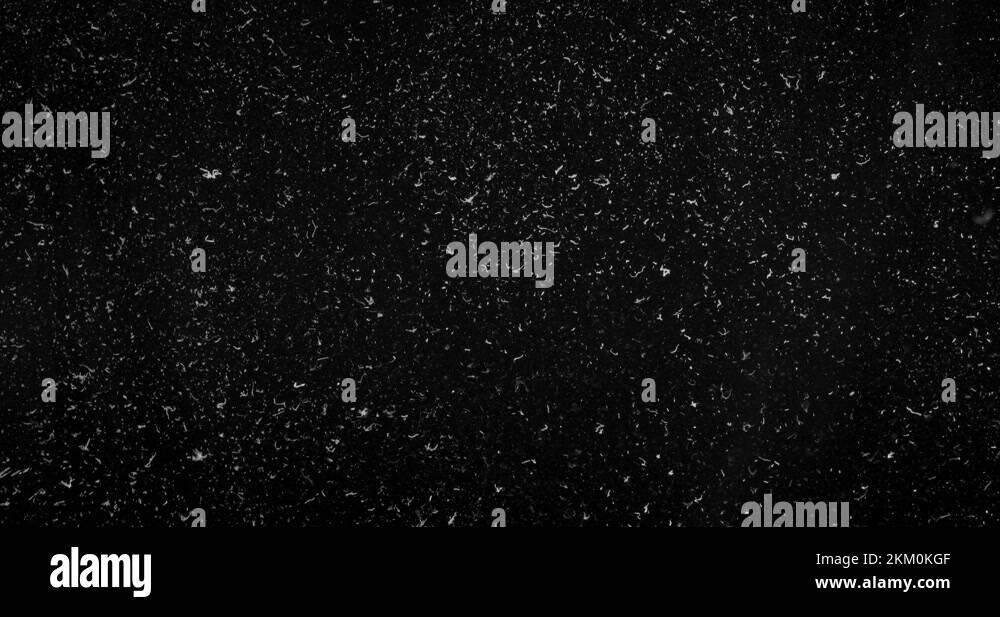 Various dust elements slowly falling down on black studio background 4k ...