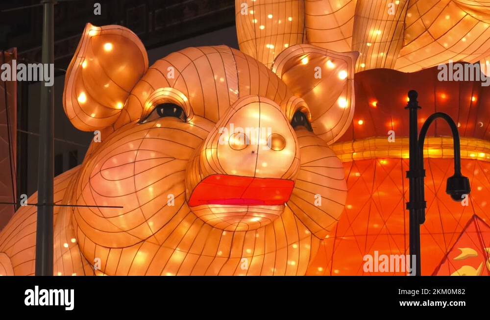 Chinese pig symbol Stock Videos & Footage - HD and 4K Video Clips - Alamy