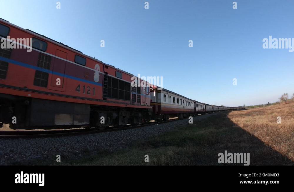 Local passenger trains pass through the rice harvest fields at ...