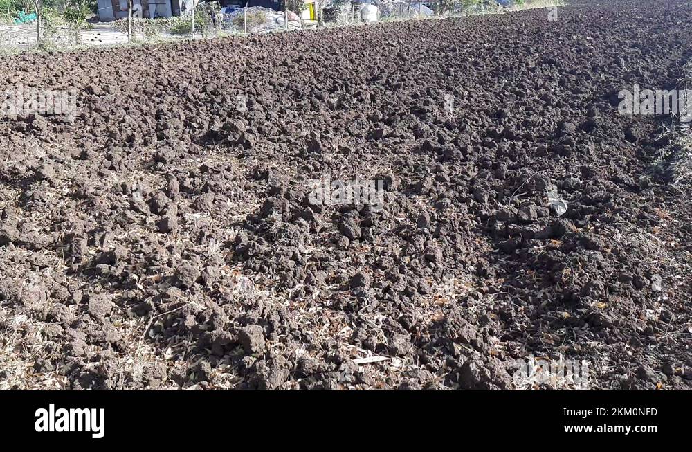 Treated soil Stock Videos & Footage - HD and 4K Video Clips - Alamy