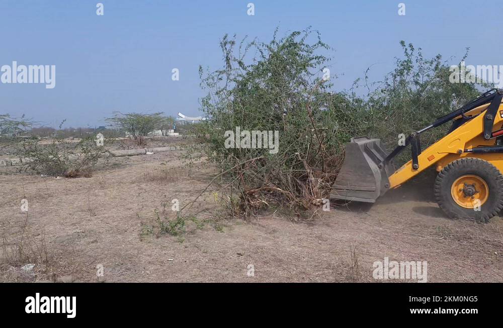 Jcb earthmovers Stock Videos & Footage - HD and 4K Video Clips - Alamy