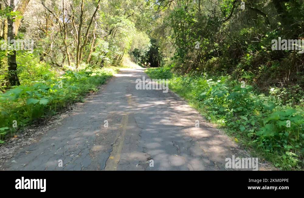 Creek trail Stock Videos & Footage - HD and 4K Video Clips - Alamy