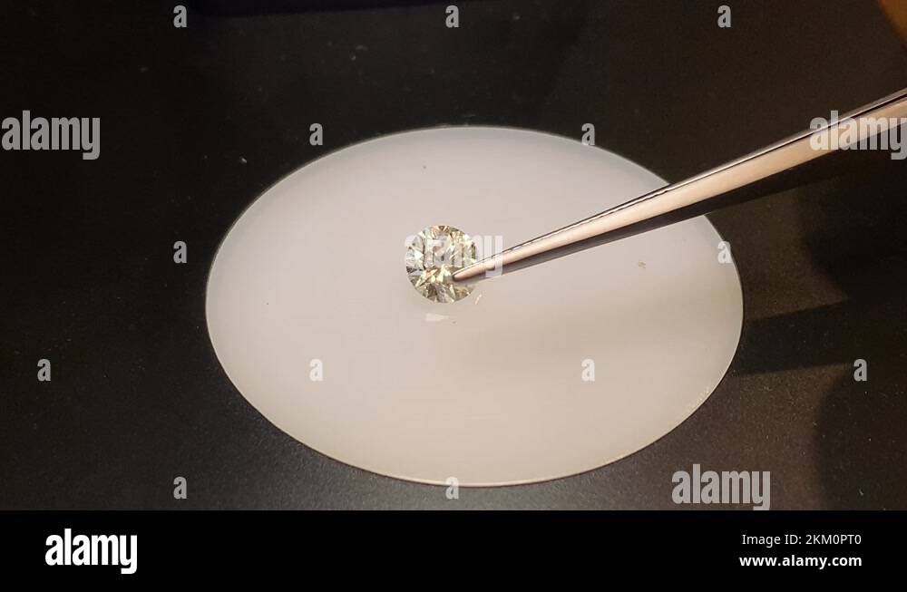 View under microscope Stock Videos & Footage - HD and 4K Video Clips ...