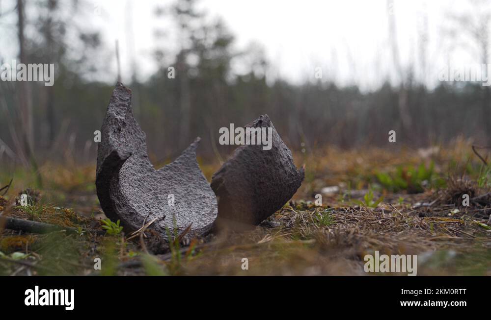 War scrap metal Stock Videos & Footage - HD and 4K Video Clips - Alamy