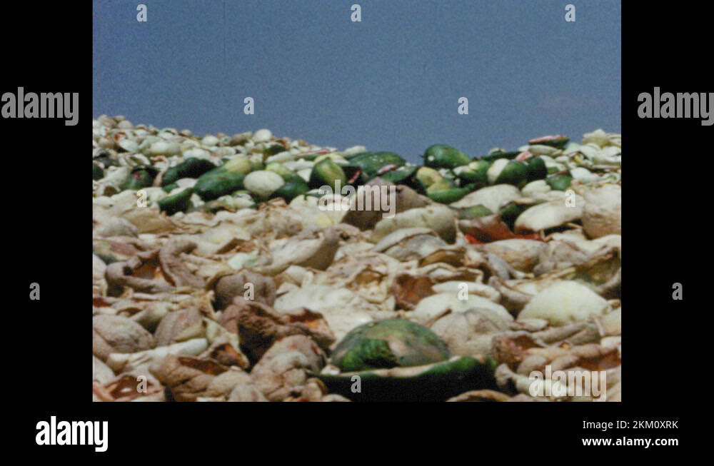 1970s: Produce dumped from truck at landfill. Produce in stacks on ...