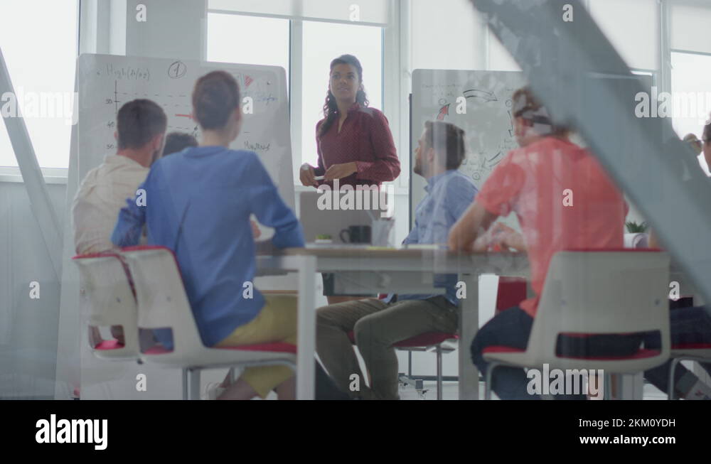 Lady project Stock Videos & Footage - HD and 4K Video Clips - Alamy