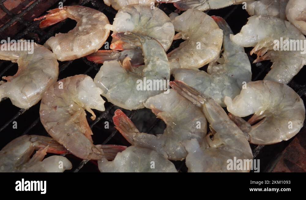 Ocean king prawns Stock Videos & Footage - HD and 4K Video Clips - Alamy