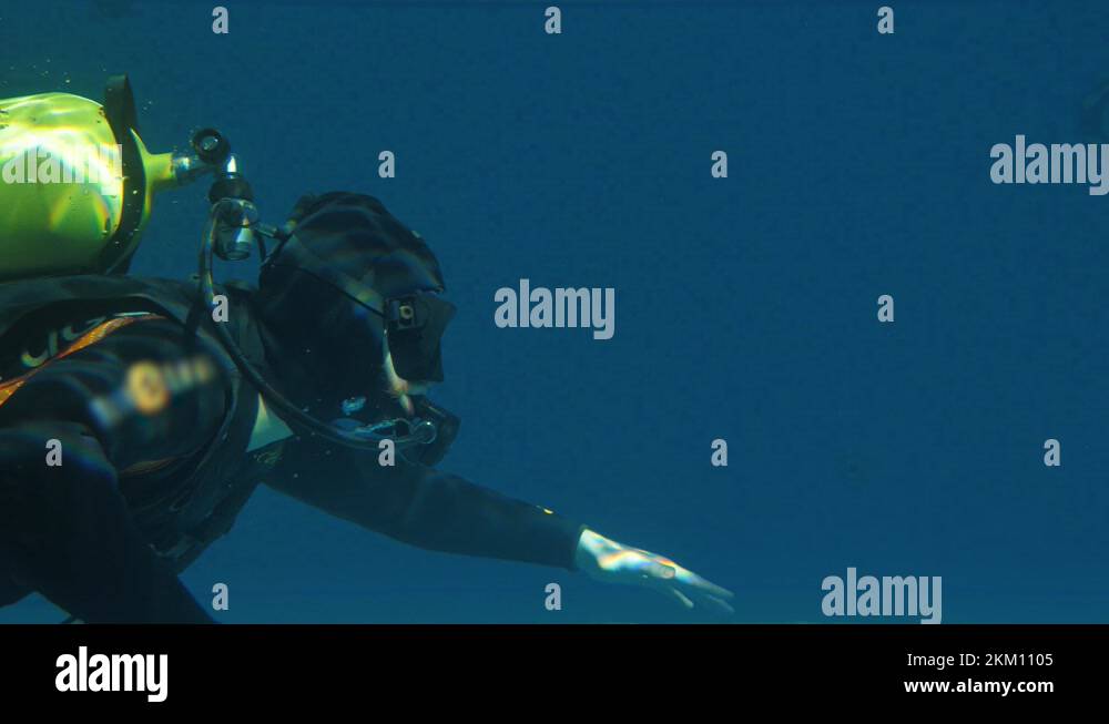 Scuba diver man school not fish Stock Videos & Footage - HD and 4K ...