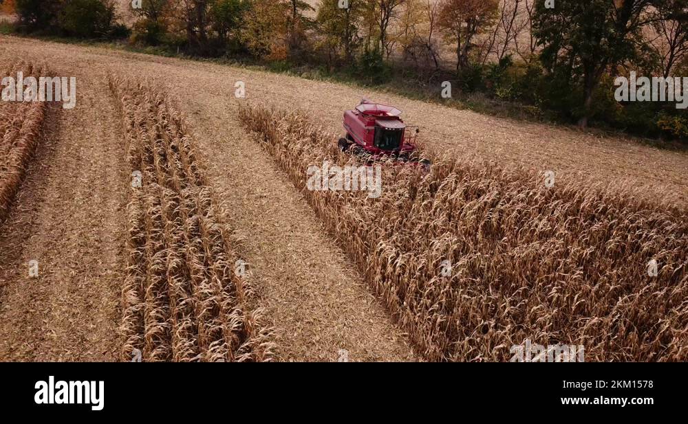Fall farming Stock Videos & Footage - HD and 4K Video Clips - Alamy
