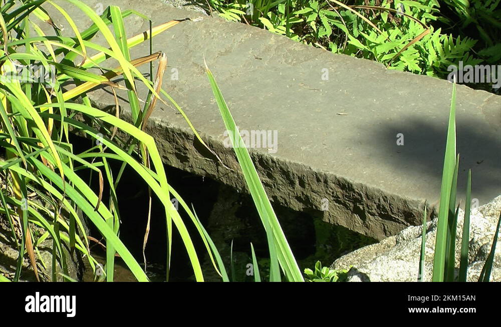 Stone slab bridge Stock Videos & Footage - HD and 4K Video Clips - Alamy