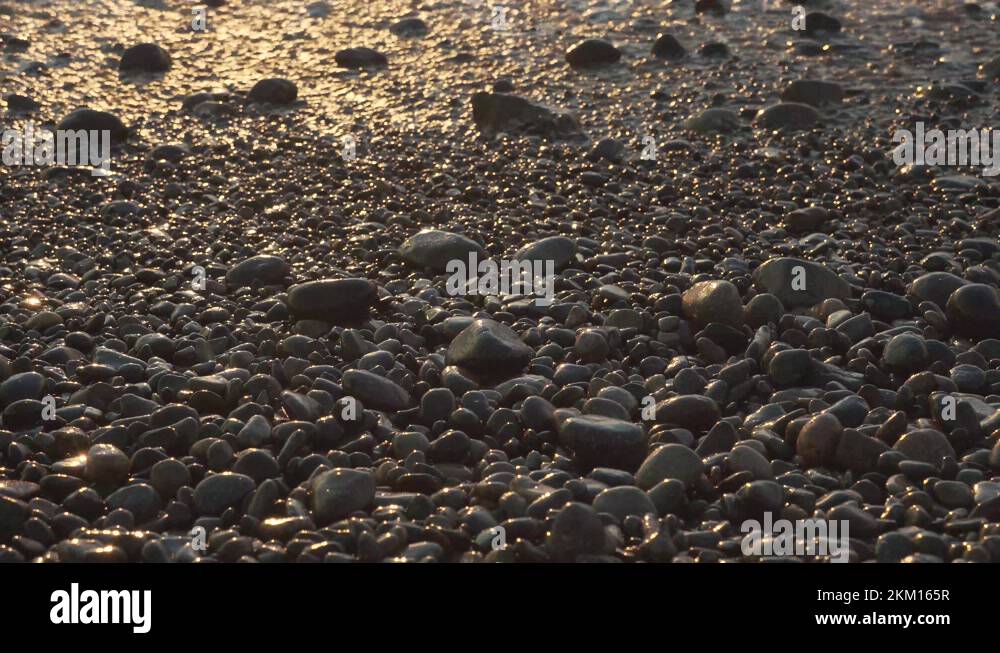 Cabo pulmo mexico national Stock Videos & Footage - HD and 4K Video ...