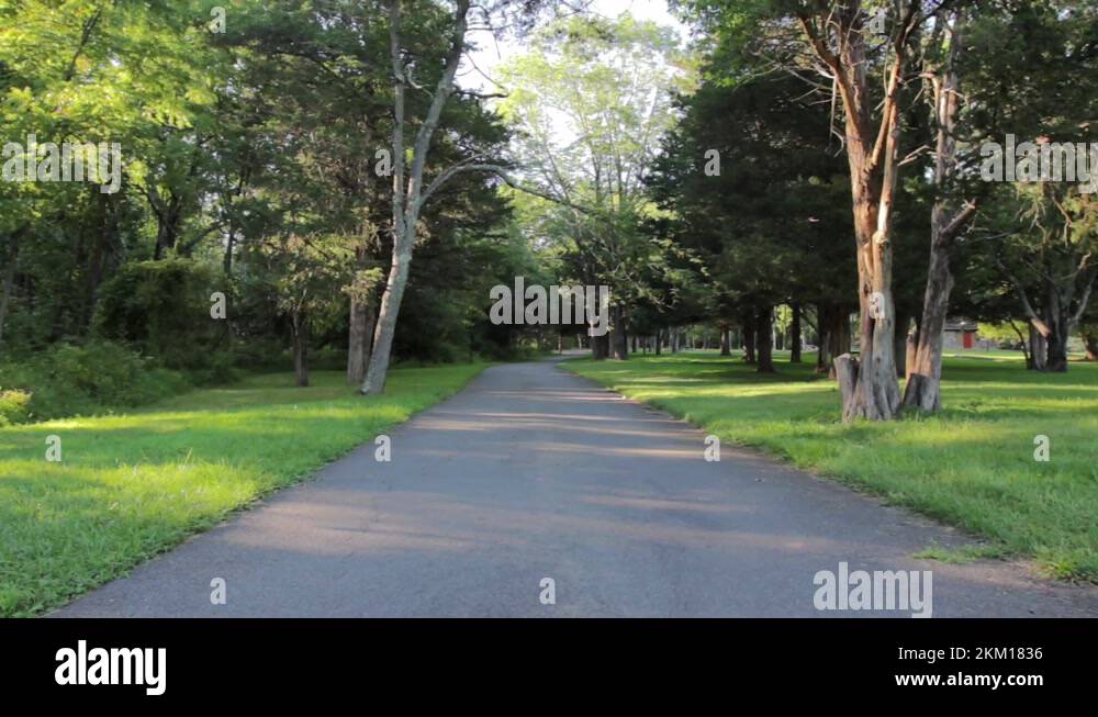 Path pathway pavement footpath Stock Videos & Footage - HD and 4K Video ...