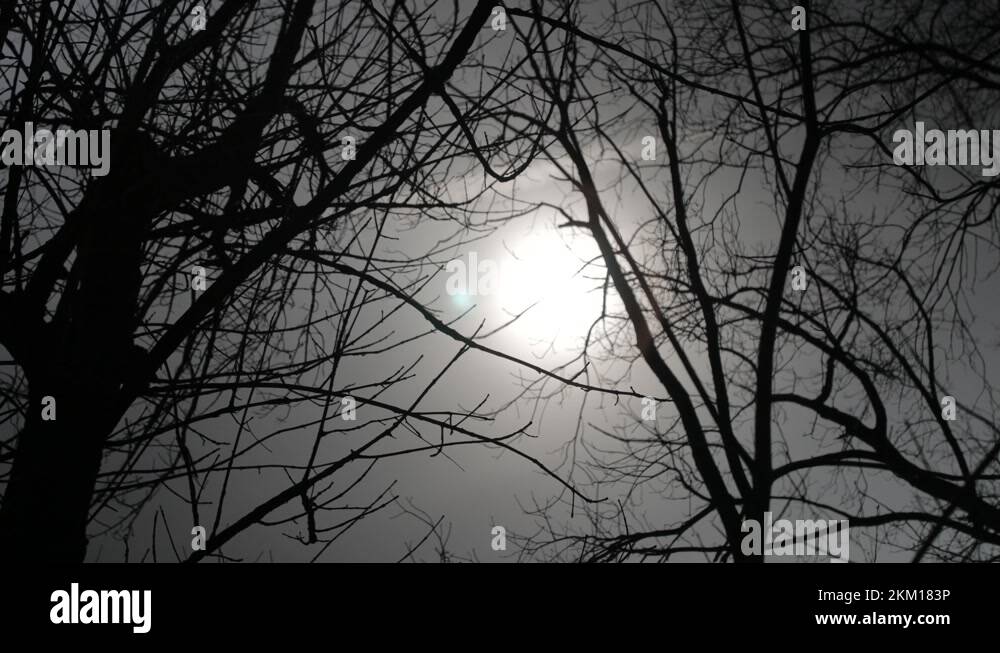 Creepy sun Stock Videos & Footage - HD and 4K Video Clips - Alamy
