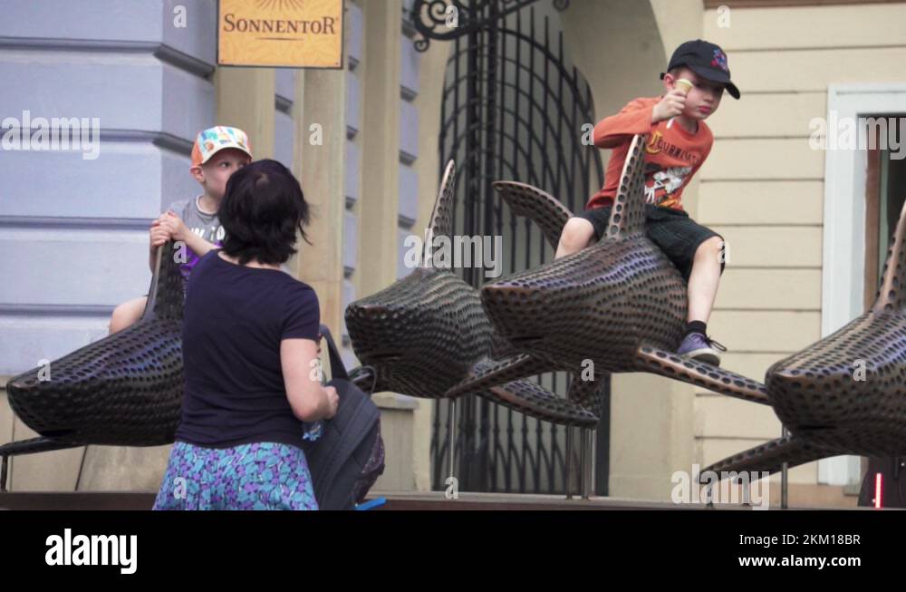 Mother shark Stock Videos & Footage - HD and 4K Video Clips - Alamy