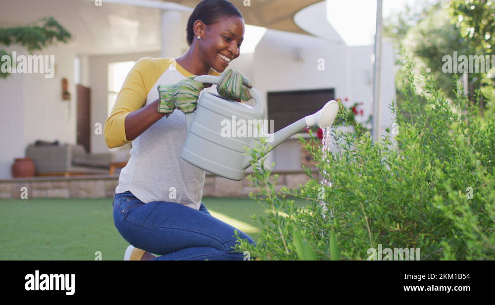 African garden plants Stock Videos & Footage - HD and 4K Video Clips ...