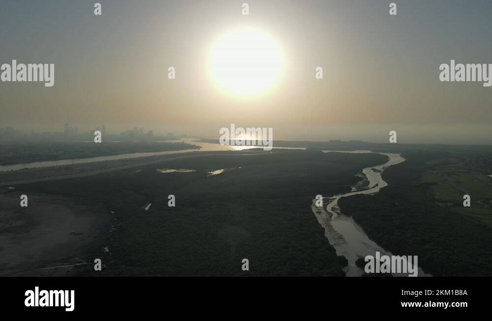 Drone view of Al Zorah Mangroves in Ajman, the thick natural mangroves ...