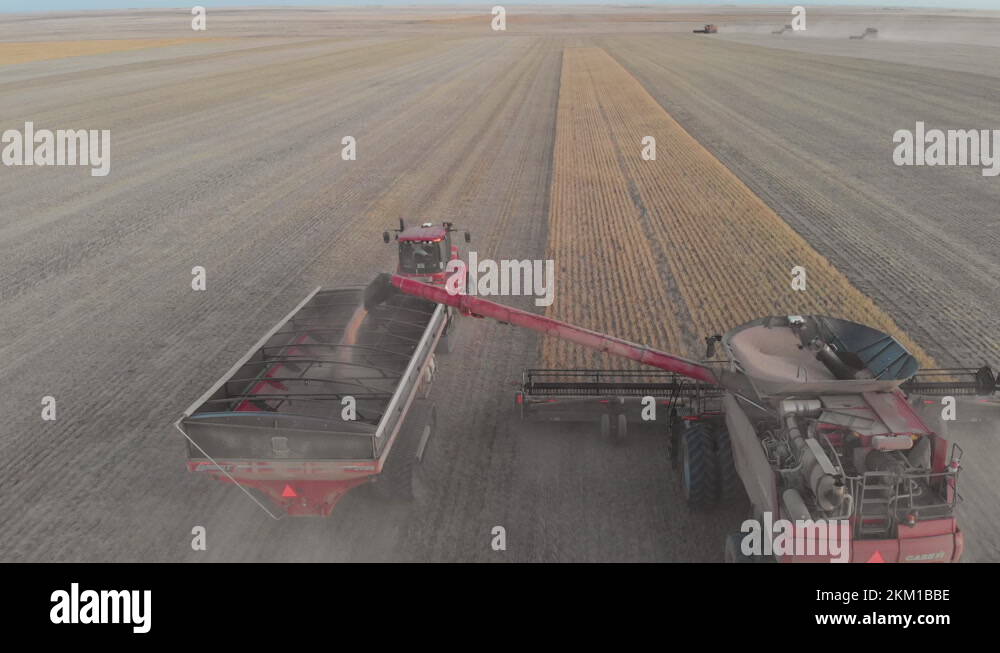 Combine harvester unloading crop into large tractor with grain cart ...