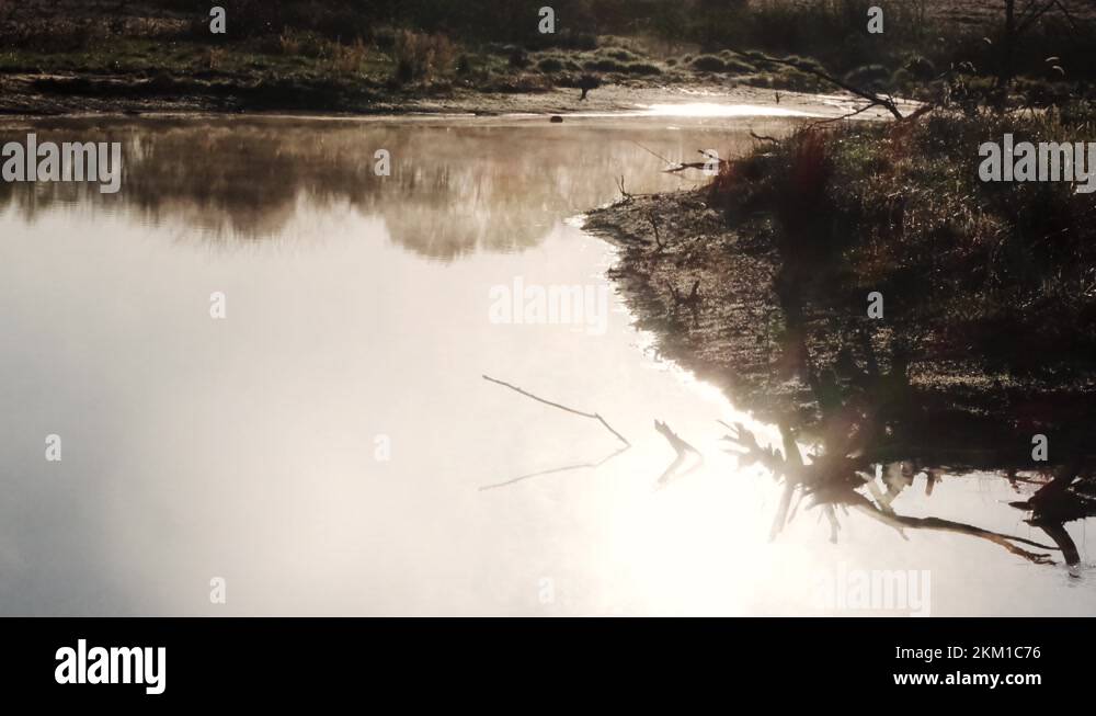 Mist rising from water Stock Videos & Footage - HD and 4K Video Clips ...