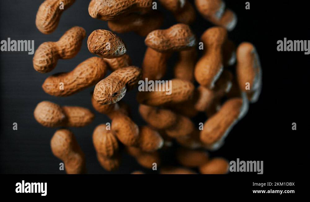 Fly nuts Stock Videos & Footage - HD and 4K Video Clips - Alamy