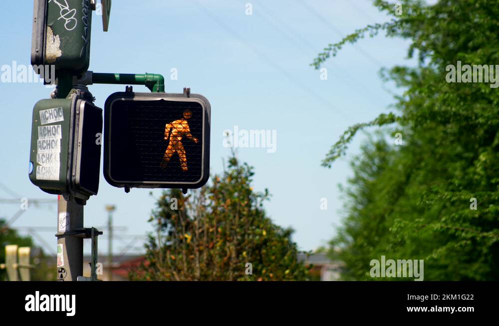 Pedestrian Crossing Signal Day Trees Stock Video Footage - Alamy
