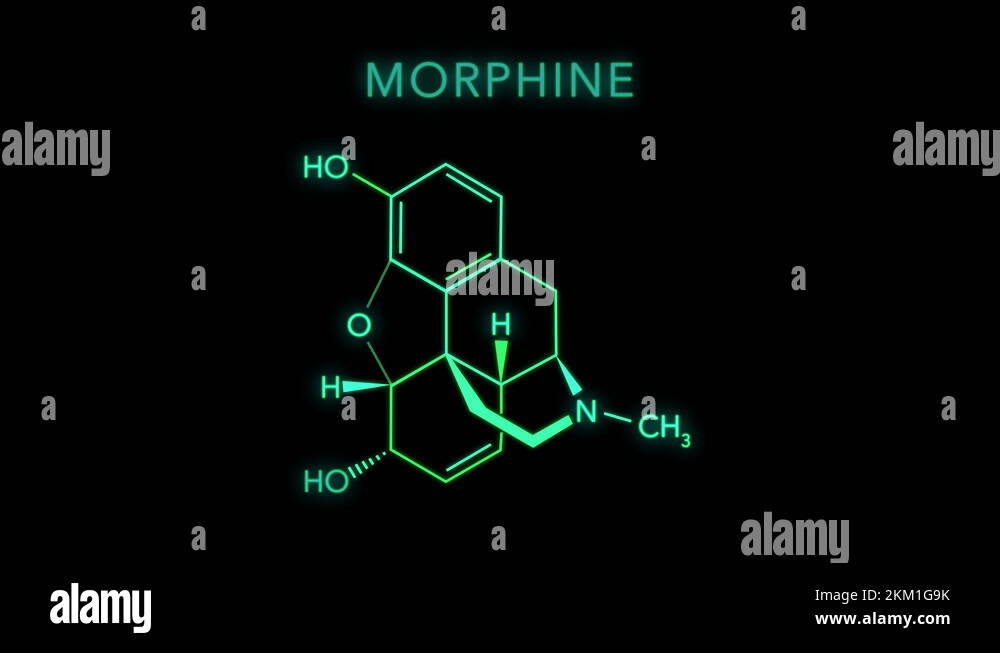 Morphin Stock Videos & Footage - HD and 4K Video Clips - Alamy