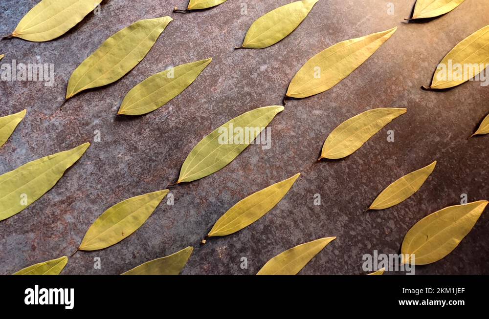 Bay leaf spice Stock Videos & Footage - HD and 4K Video Clips - Alamy
