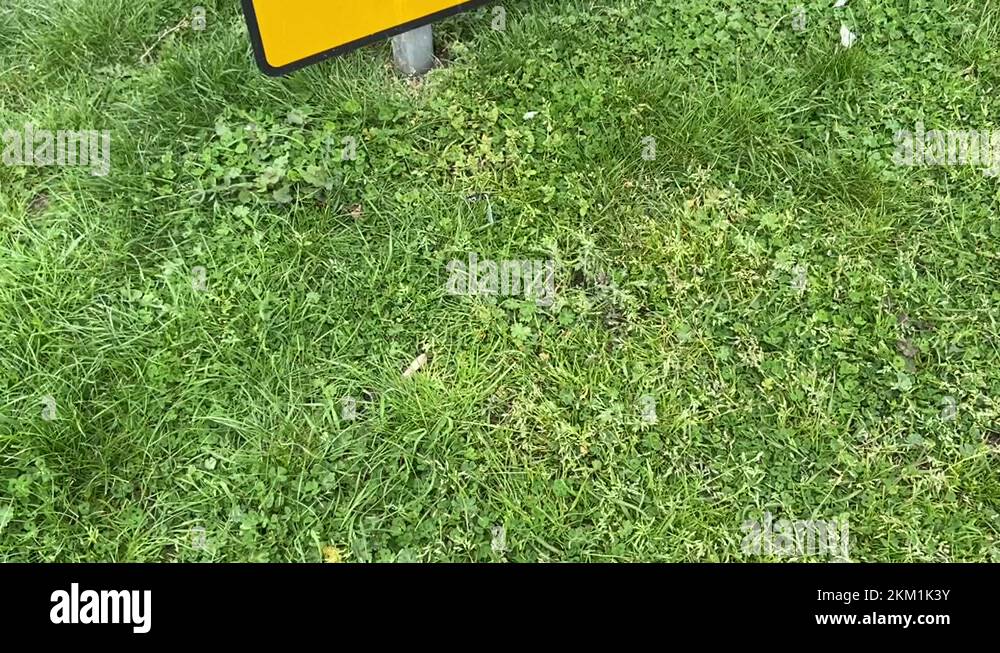 Sign nhs health information Stock Videos & Footage - HD and 4K Video ...