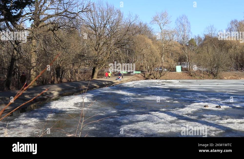 Broken ice on pond Stock Videos & Footage - HD and 4K Video Clips - Alamy