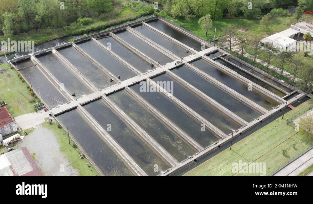 Pool enclosures Stock Videos & Footage - HD and 4K Video Clips - Alamy