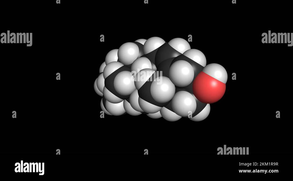 Lipid structure Stock Videos & Footage - HD and 4K Video Clips - Alamy
