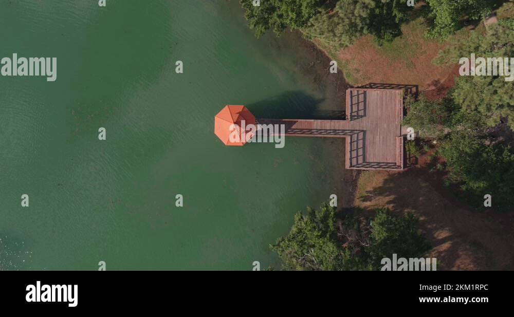 View into canopy Stock Videos & Footage - HD and 4K Video Clips - Alamy