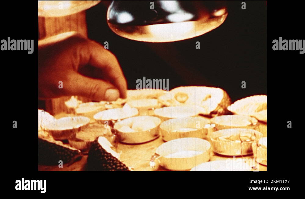 1940s Bikini Atoll: Samples in small dishes under heat lamp. Man and ...