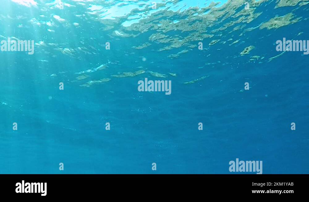 Water underwater light rays beam Stock Videos & Footage - HD and 4K ...