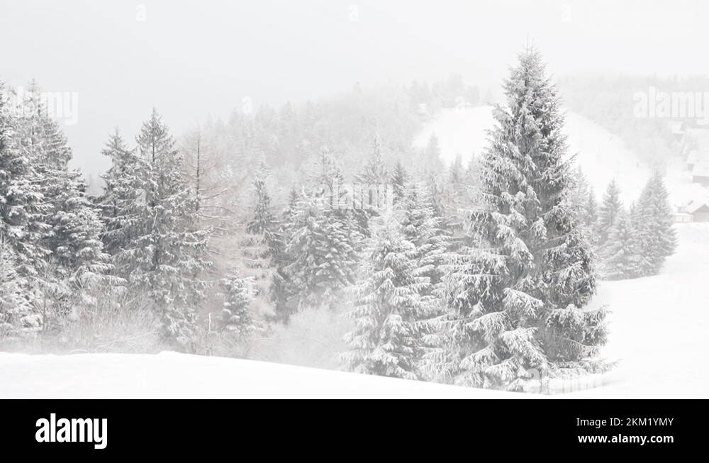 Drift white cold trees Stock Videos & Footage - HD and 4K Video Clips ...