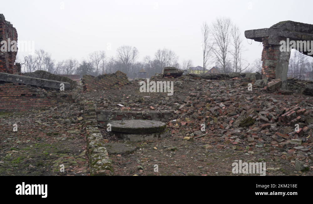 Gas chamber and crematoria ruins at Birkenau concentration camp, part ...
