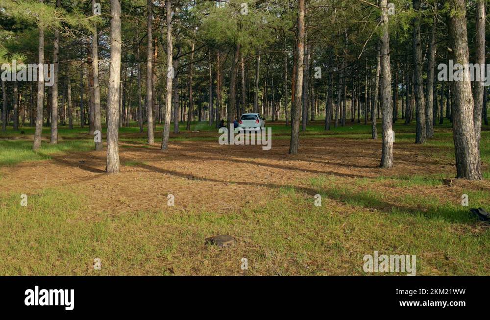 Mother with children boy and girl resting on picnic in forest with high ...