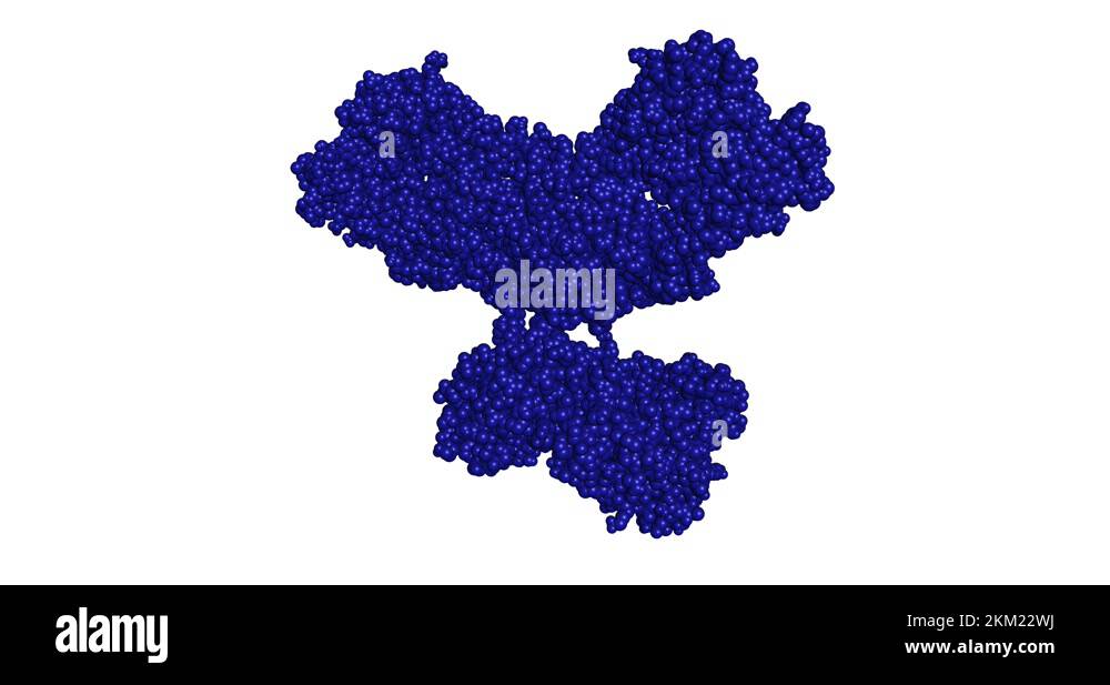 Antibody molecule structure model Stock Videos & Footage - HD and 4K ...