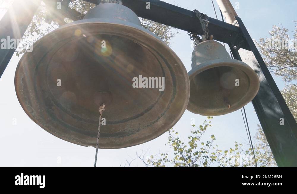 Tree and lens flare Stock Videos & Footage - HD and 4K Video Clips - Alamy