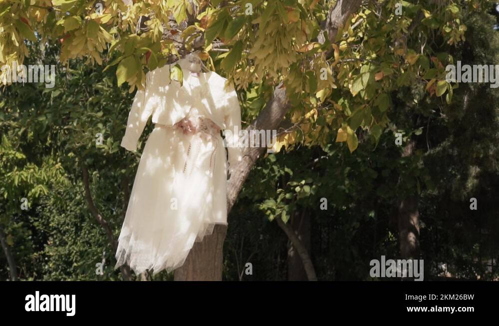 Girl hanging tree Stock Videos & Footage - HD and 4K Video Clips - Alamy