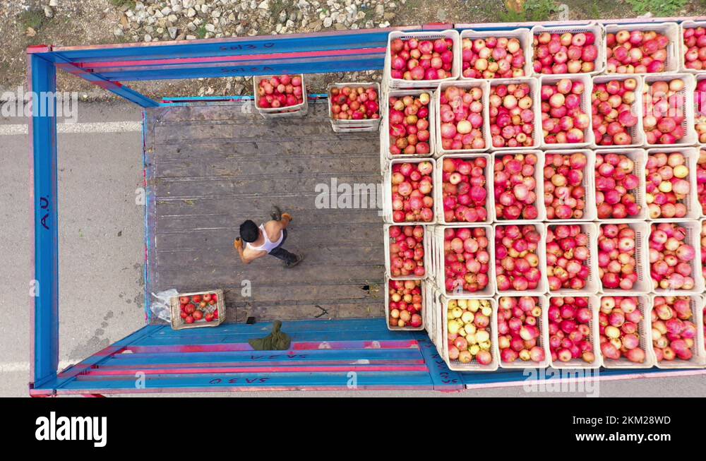 Loading fruits Stock Videos & Footage - HD and 4K Video Clips - Alamy