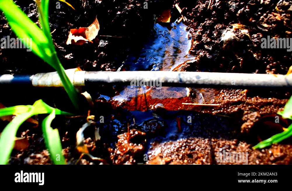 Pipe water pump outdoor garden Stock Videos & Footage - HD and 4K Video ...