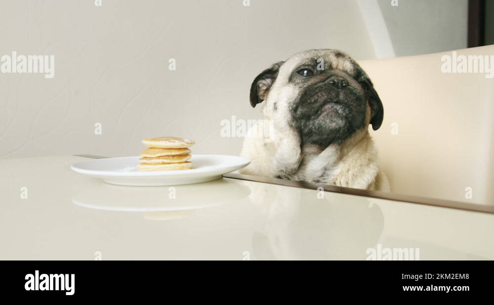 Bad pancake Stock Videos & Footage - HD and 4K Video Clips - Alamy