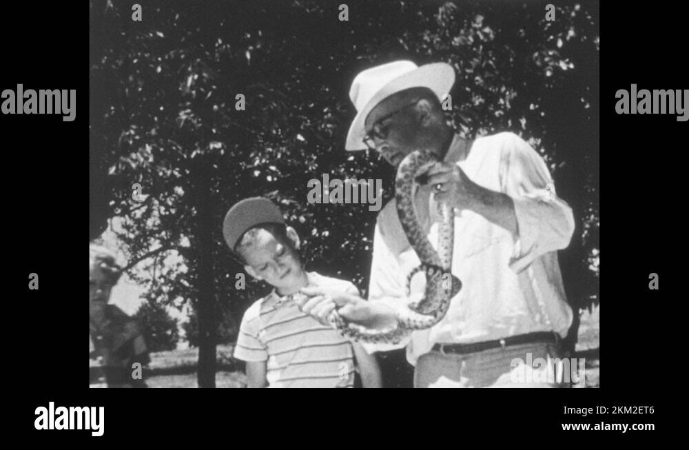 1940s: Man picks up snake and shows it to children Stock Video Footage - Alamy