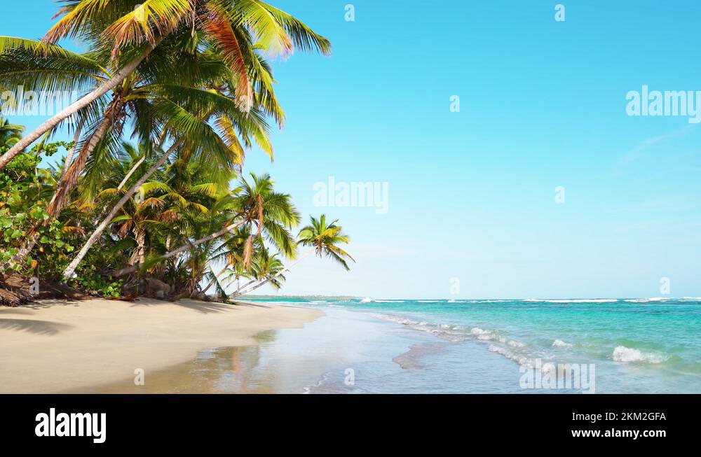 Beachandsea Stock Videos & Footage - HD and 4K Video Clips - Alamy