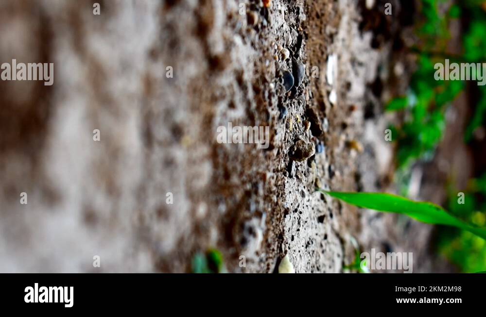 Puddle mud on path Stock Videos & Footage - HD and 4K Video Clips - Alamy