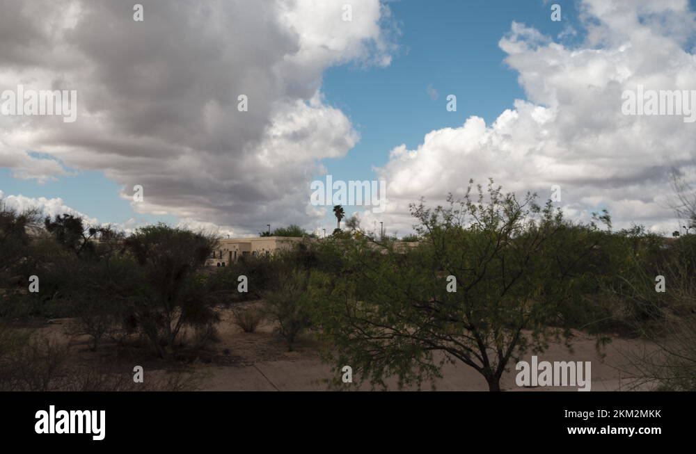 Desert plant community Stock Videos & Footage - HD and 4K Video Clips ...